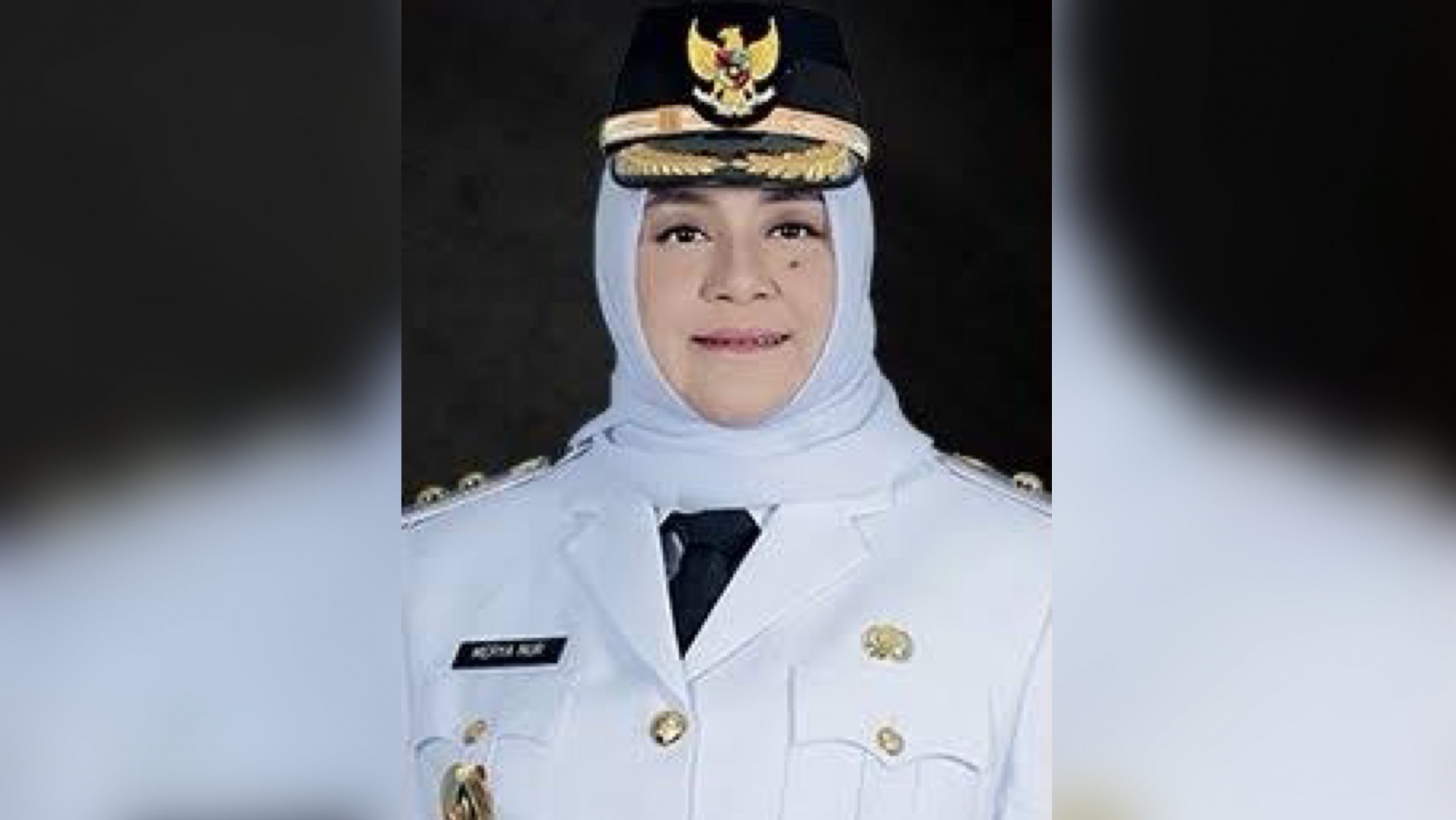 Ditangkap KPK, Begini Harta Kekayaan Bupati Kolaka Timur, Punya Tanah ...